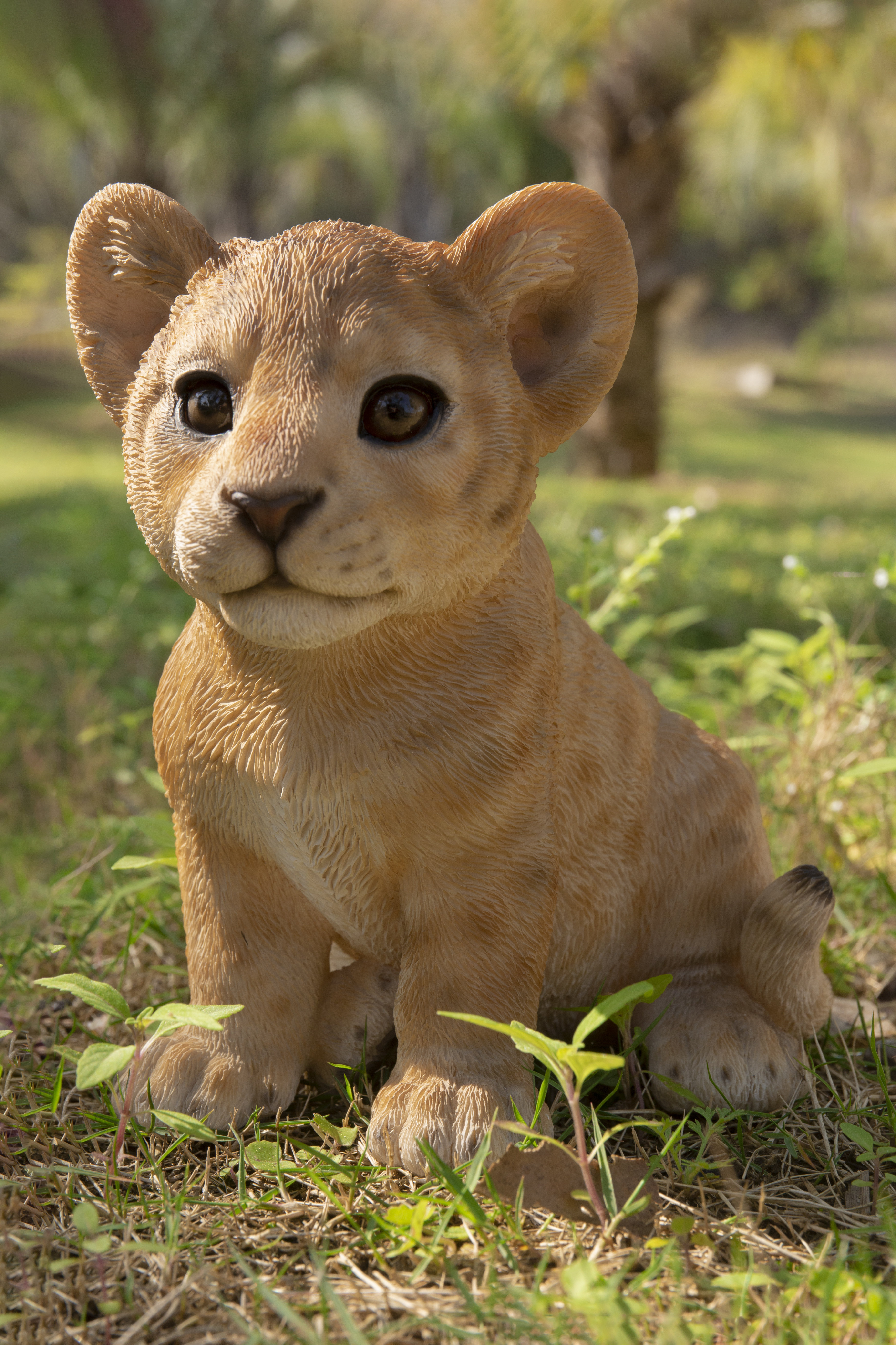 Hi-Line Gift Ltd. Sitting Lion Cub Statue & Reviews - Wayfair Canada