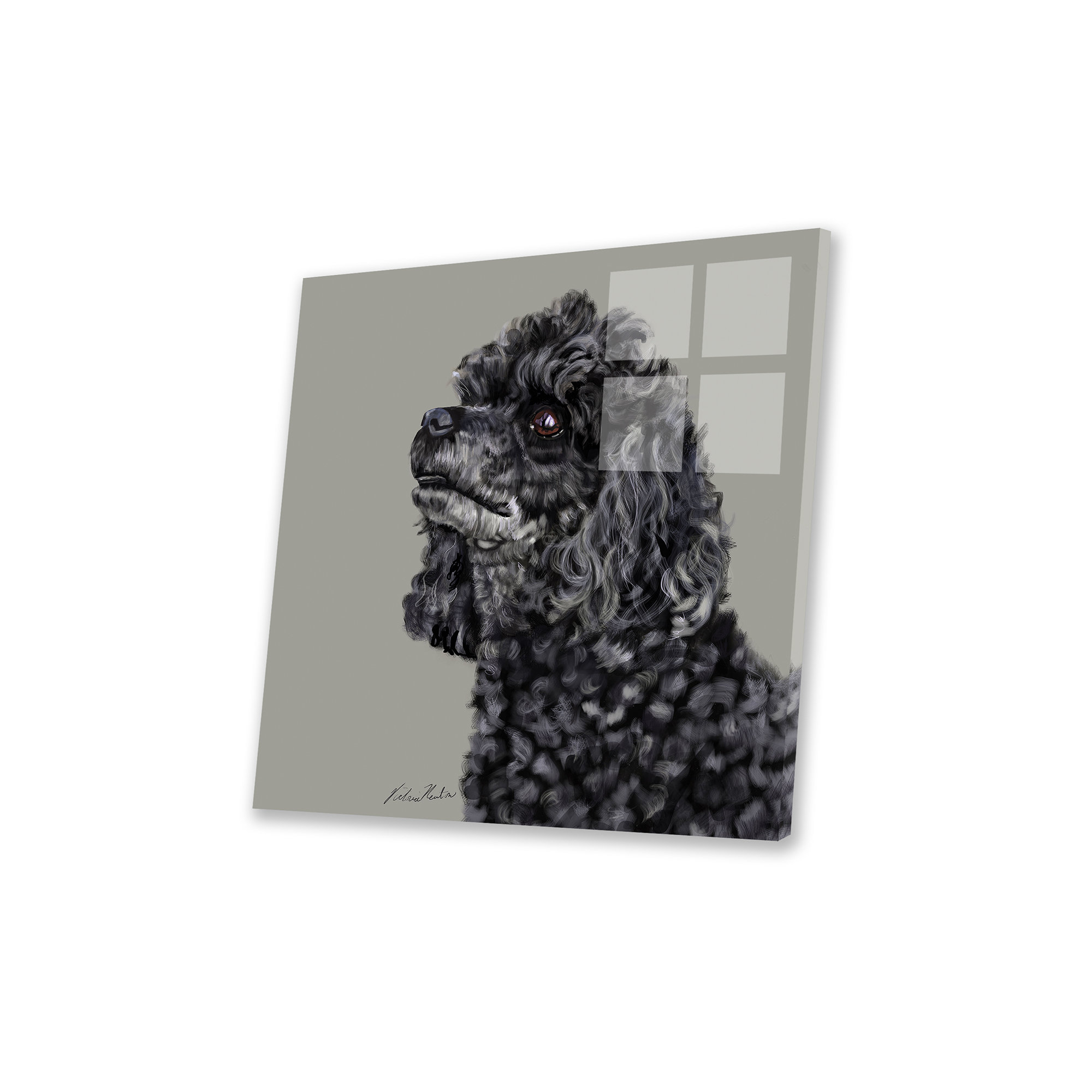 Latitude Run® Poodle Print On Acrylic Glass | Wayfair
