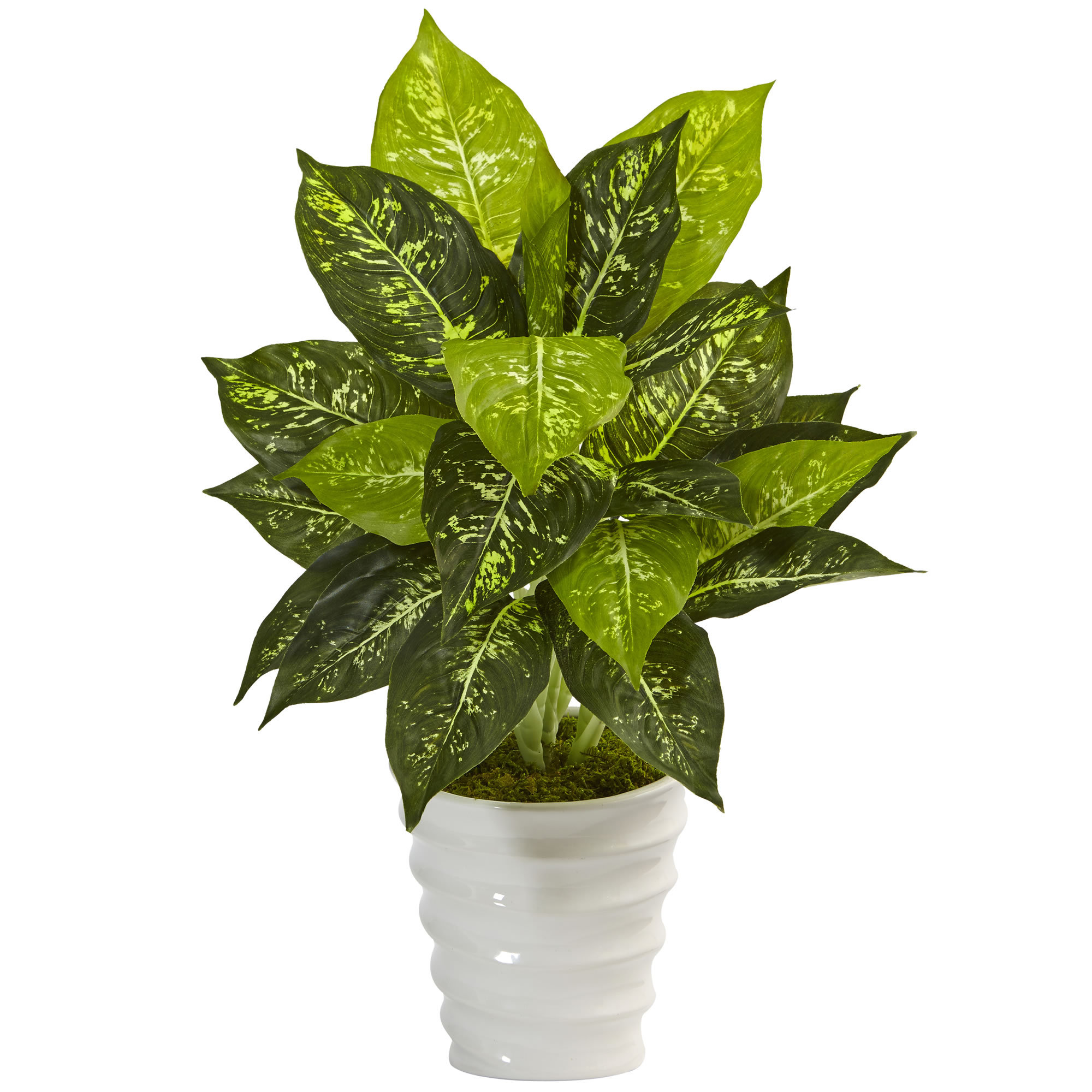 Bay Isle Home™ 15" Artificial Foliage Plant in Planter - Wayfair Canada