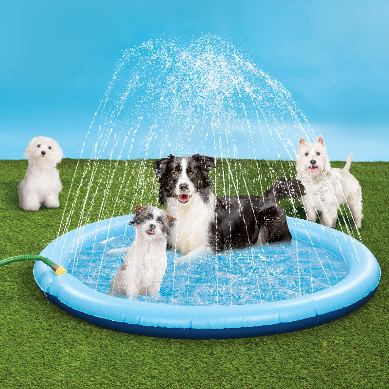 Winston Brands Inflatable Sprinkler Splash Pet Pool with Reinforced ...