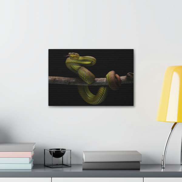 Ivy Bronx Snake Hunting Snake on Hunt Print Animal Wall Art | Wayfair.co.uk