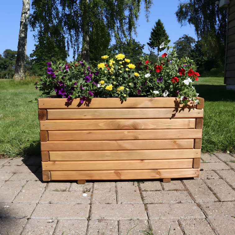 Happy Larry 70cm Pine Raised Trough Planter | Wayfair.co.uk