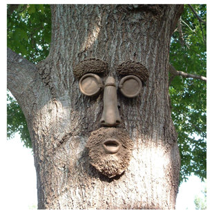 Outdoor Tree Faces | Wayfair