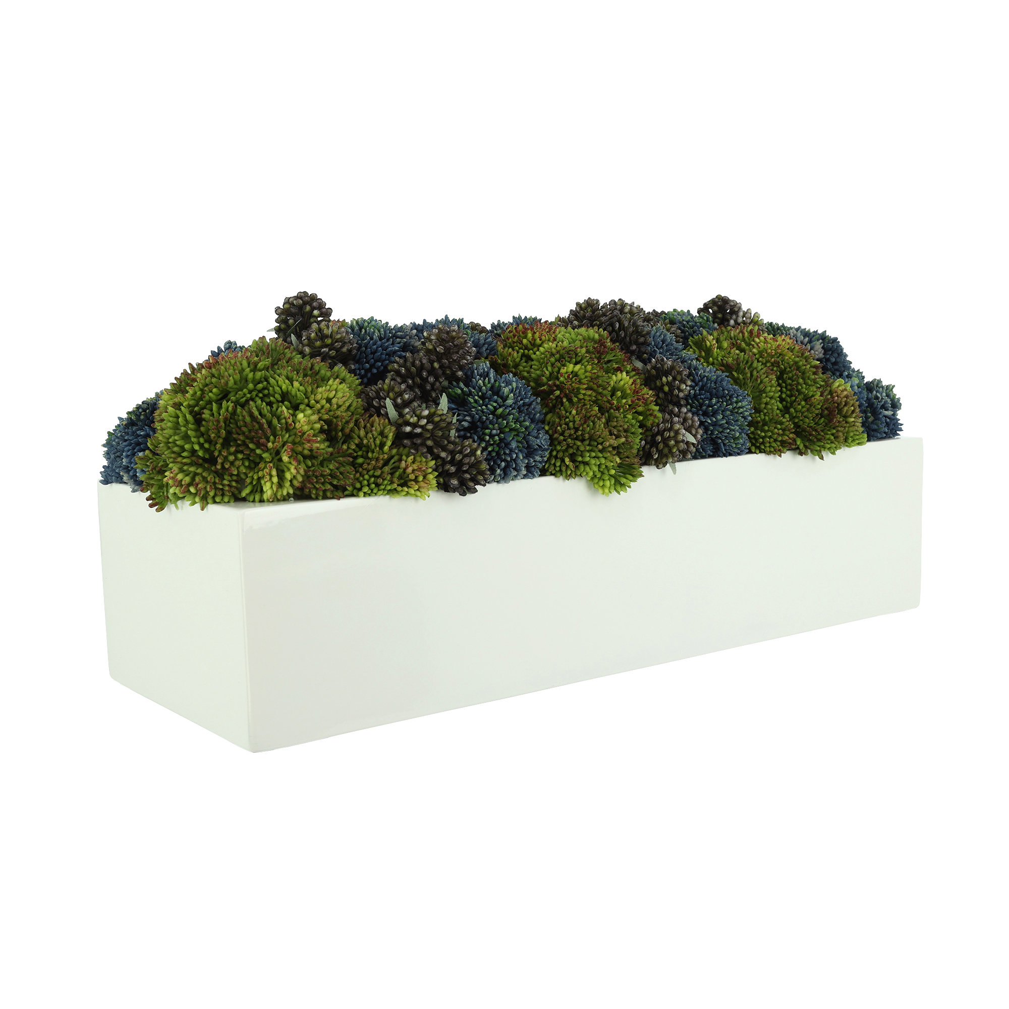 Creative Displays, Inc. Sedum and Lucky Berry Arrangement in Fiberstone ...