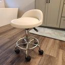Inbox Zero Backed Adjustable Height Ergonomic Lab Stool with Footring ...