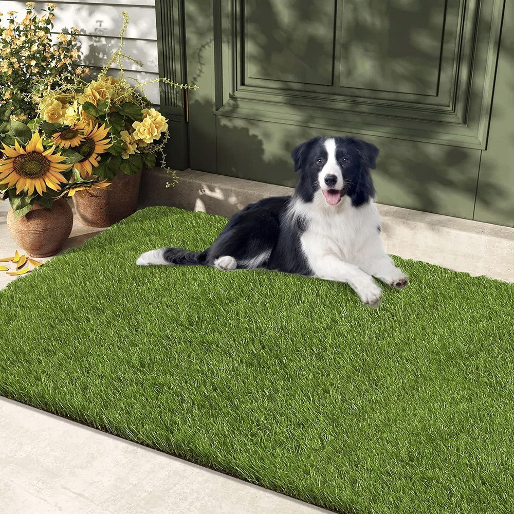 MAXAYA Artificial Grass Pad For Dogs, Professional Potty Training ...
