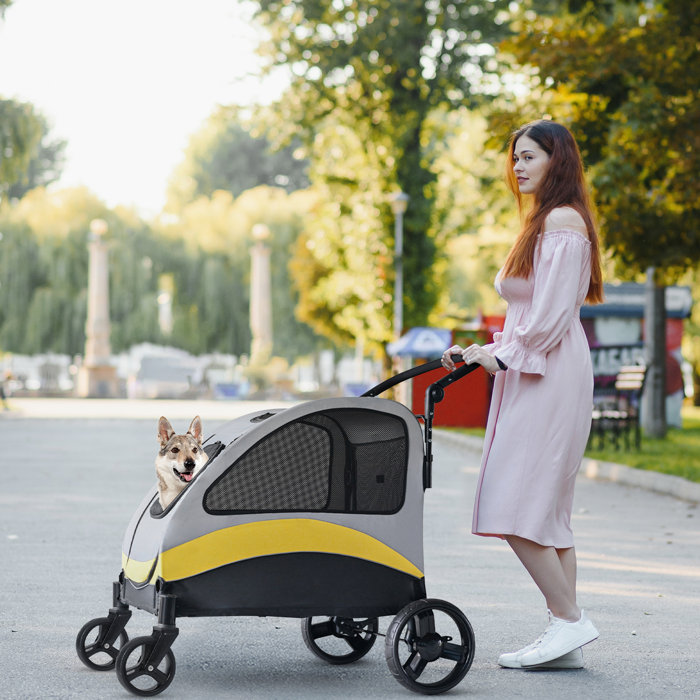 BingoPaw Folding Standard Stroller & Reviews | Wayfair