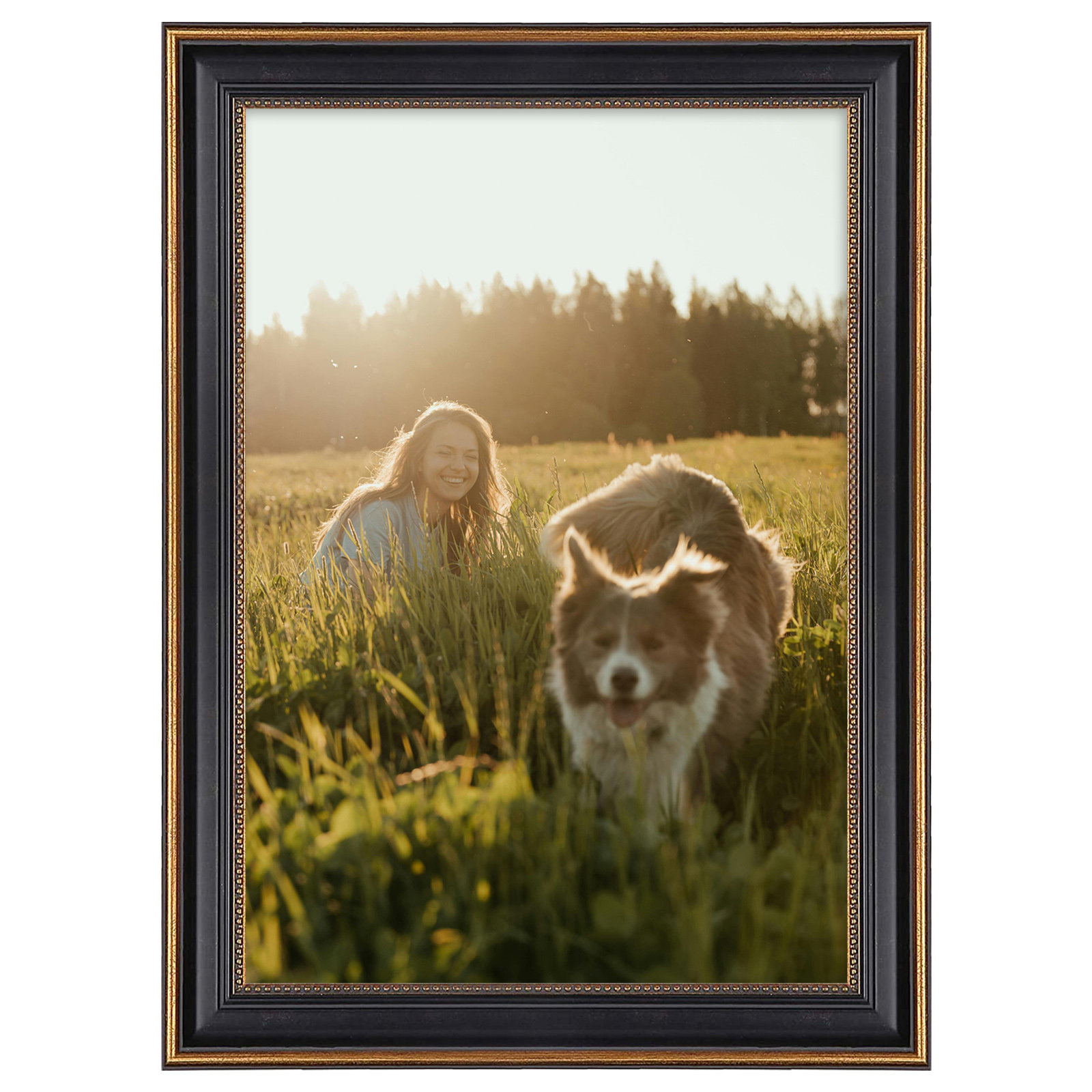 Ebern Designs Black Gold Poster Frame Without Mat | Wayfair