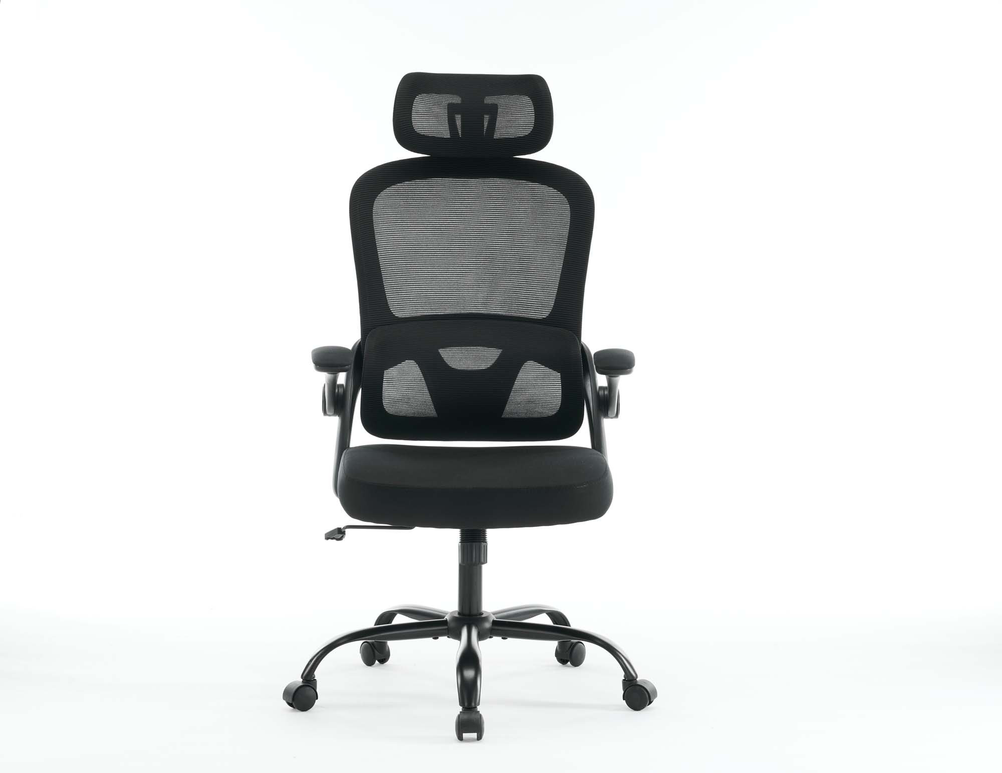 Latitude Run® Ergonomic Mesh Office Chair,High Back Desk Chair With 3D ...