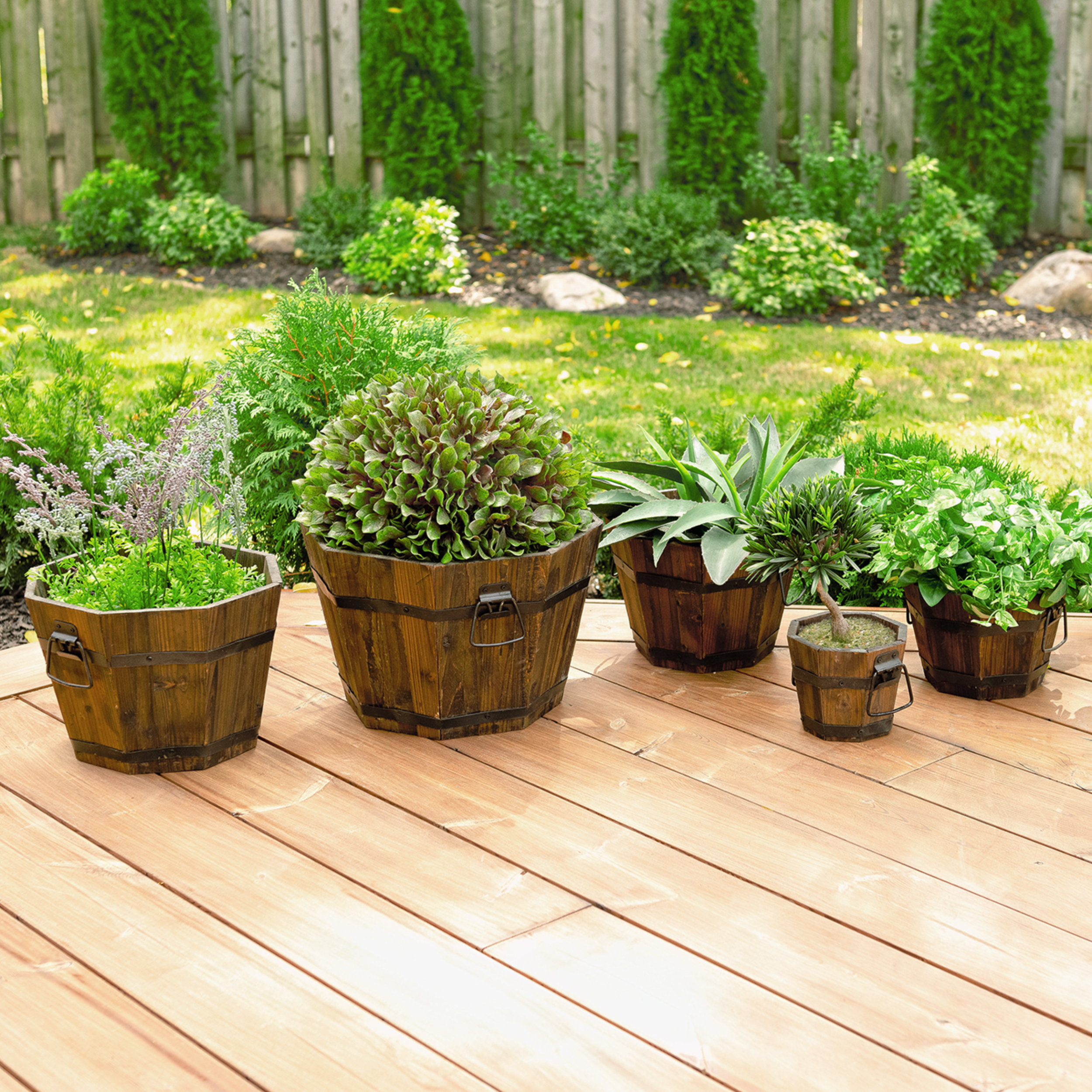 Leisure Season Barrel Style 5-Piece Cypress Planter Set & Reviews | Wayfair