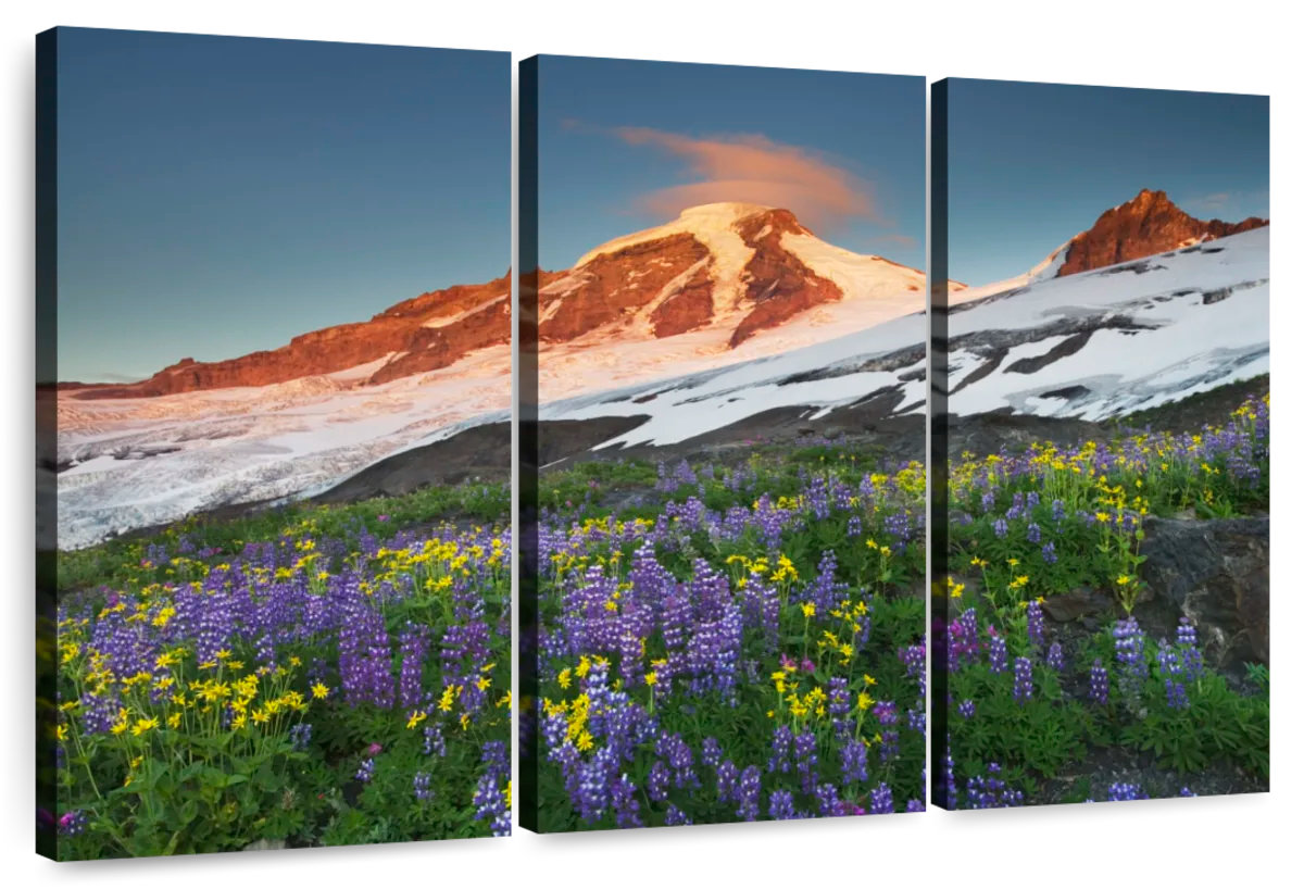 Millwood Pines Alvord Mount Baker Flower Field - Wayfair Canada