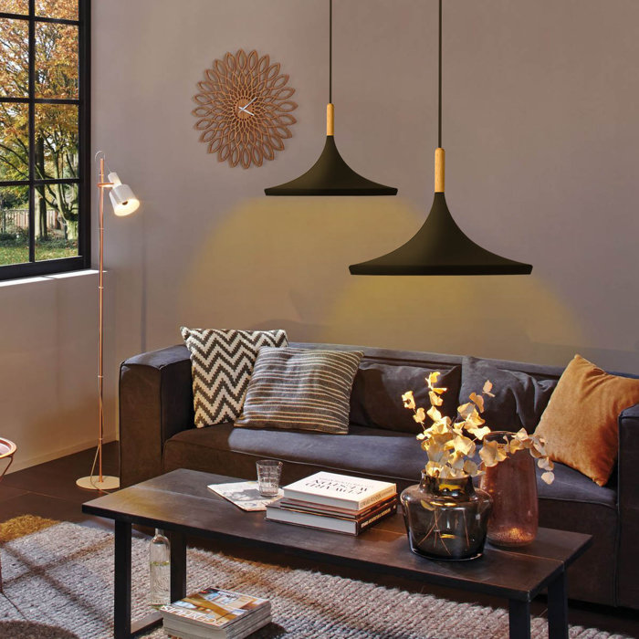 George Oliver Charea 1 - Light Black Single Pendant | Wayfair