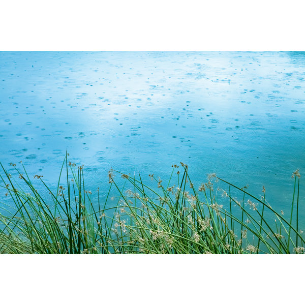 House of Hampton Pond, reeds & rain | Wayfair.co.uk