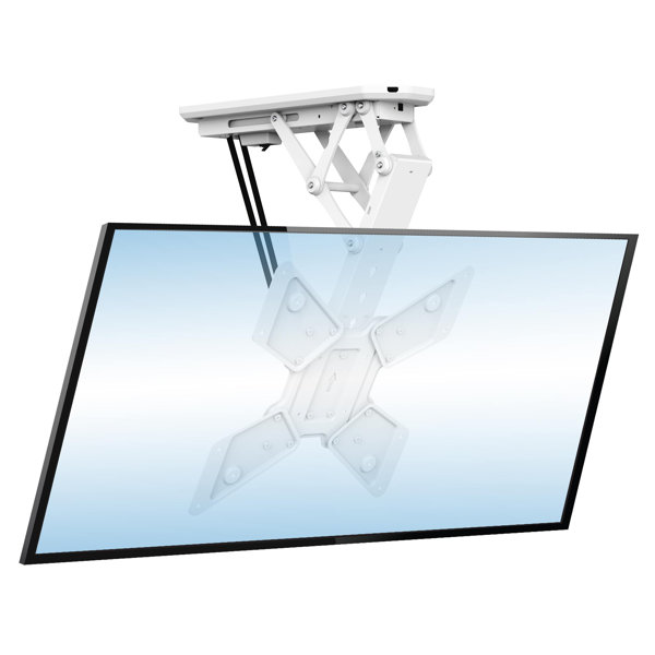 Mount-it Single Screen Ceiling Mount & Reviews | Wayfair