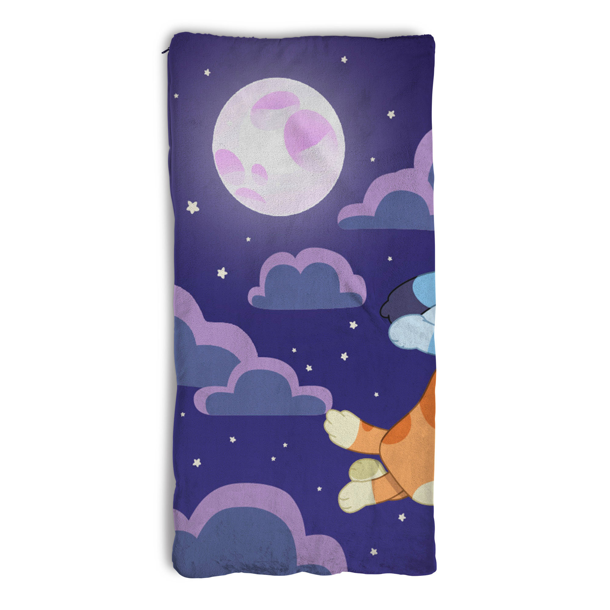 The Northwest Bluey Slumber Pups Silk Touch Throw Blanket Sherpa ...