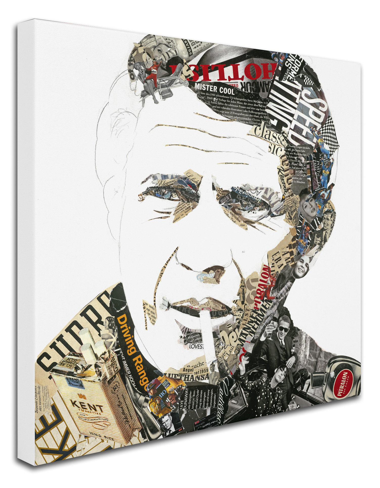 Trademark Fine Art 'Steve' Graphic Art on Wrapped Canvas in Brown/Black ...