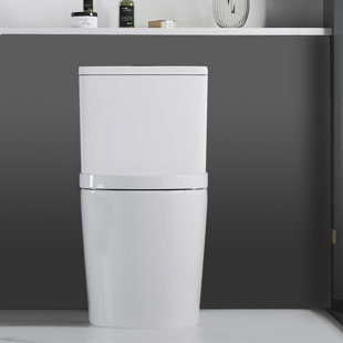 Round Toilets You'll Love | Wayfair