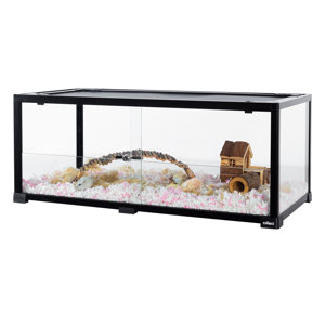 OiiBO 40 Gallon Terrarium & Reviews | Wayfair