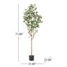 Primrue 71 In. Artificial Eucalyptus Tree Artificial Tree | Wayfair
