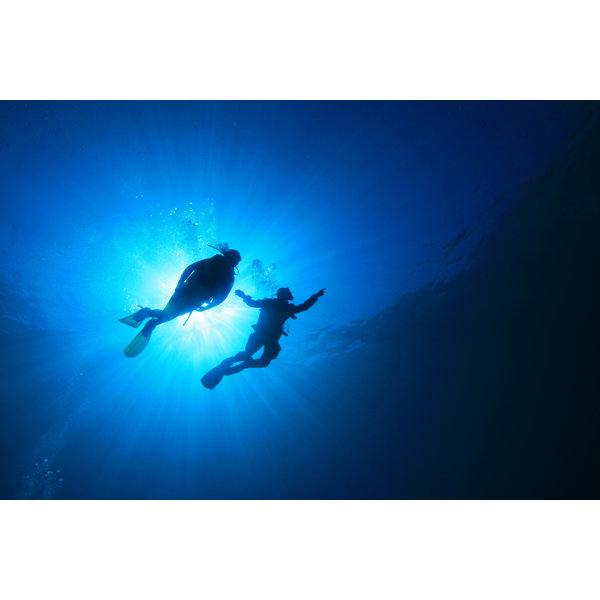 Highland Dunes Scuba Diving | Wayfair.co.uk
