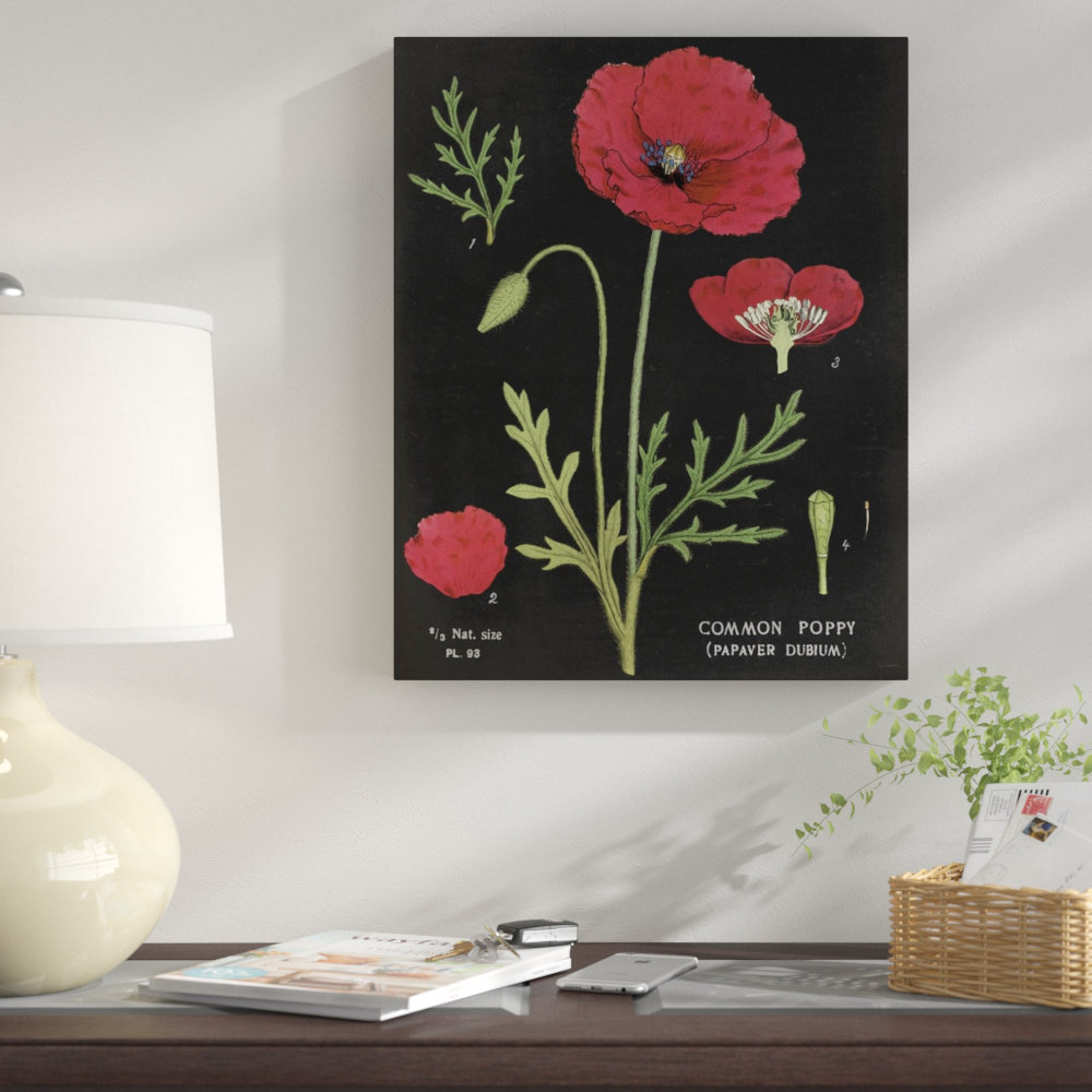 East Urban Home 'Poppy Chart' Graphic Art Print on Canvas - Wayfair Canada