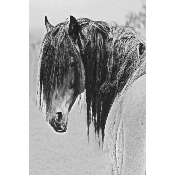 August Grove® Grindle Animals Figurine / Sculpture & Reviews | Wayfair