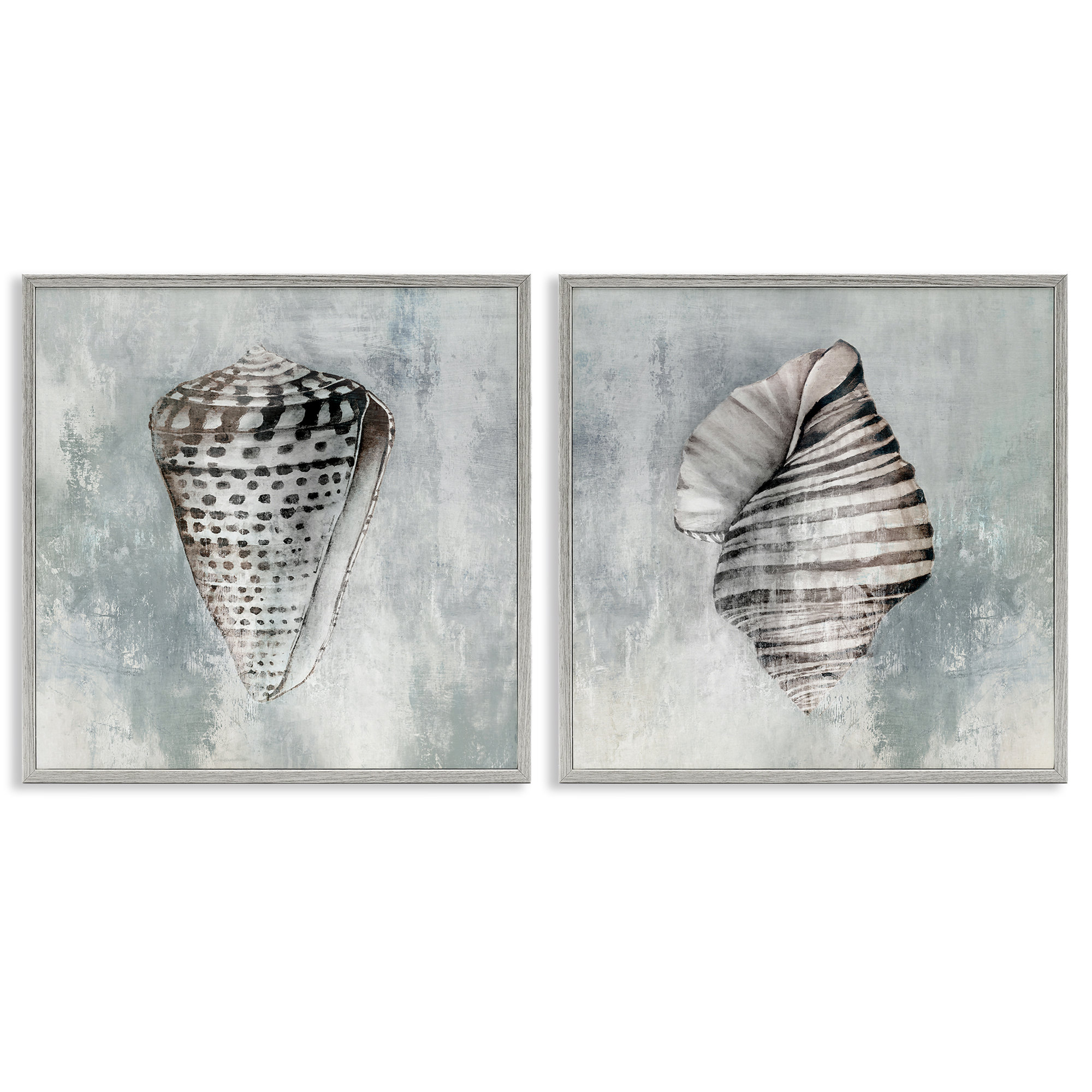 Winston Porter Grey Distressed Cowrie Shells 2 PC Giclee Art Set by Eli ...