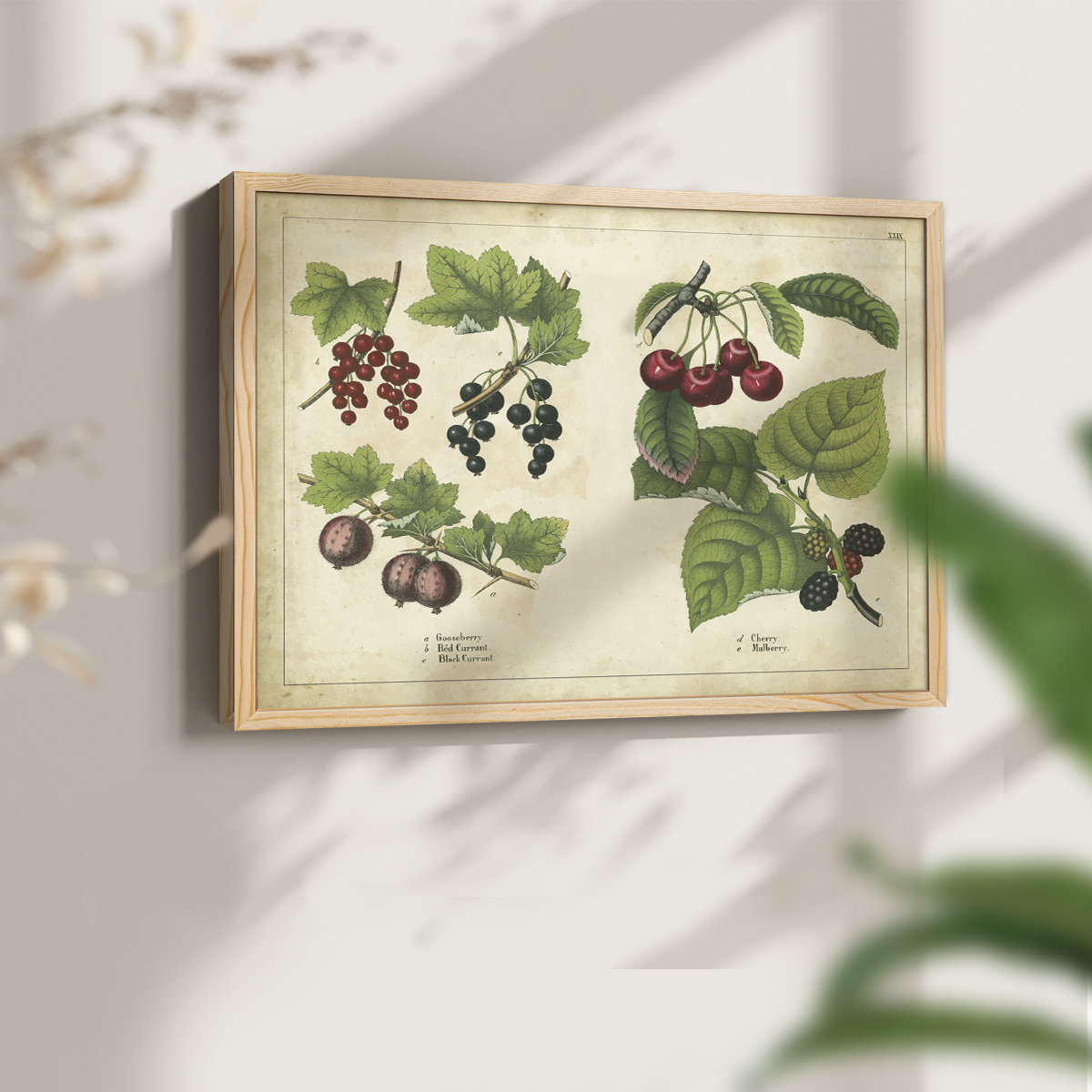 August Grove® Kitchen Fruits III -Framed Print - Restickable | Wayfair