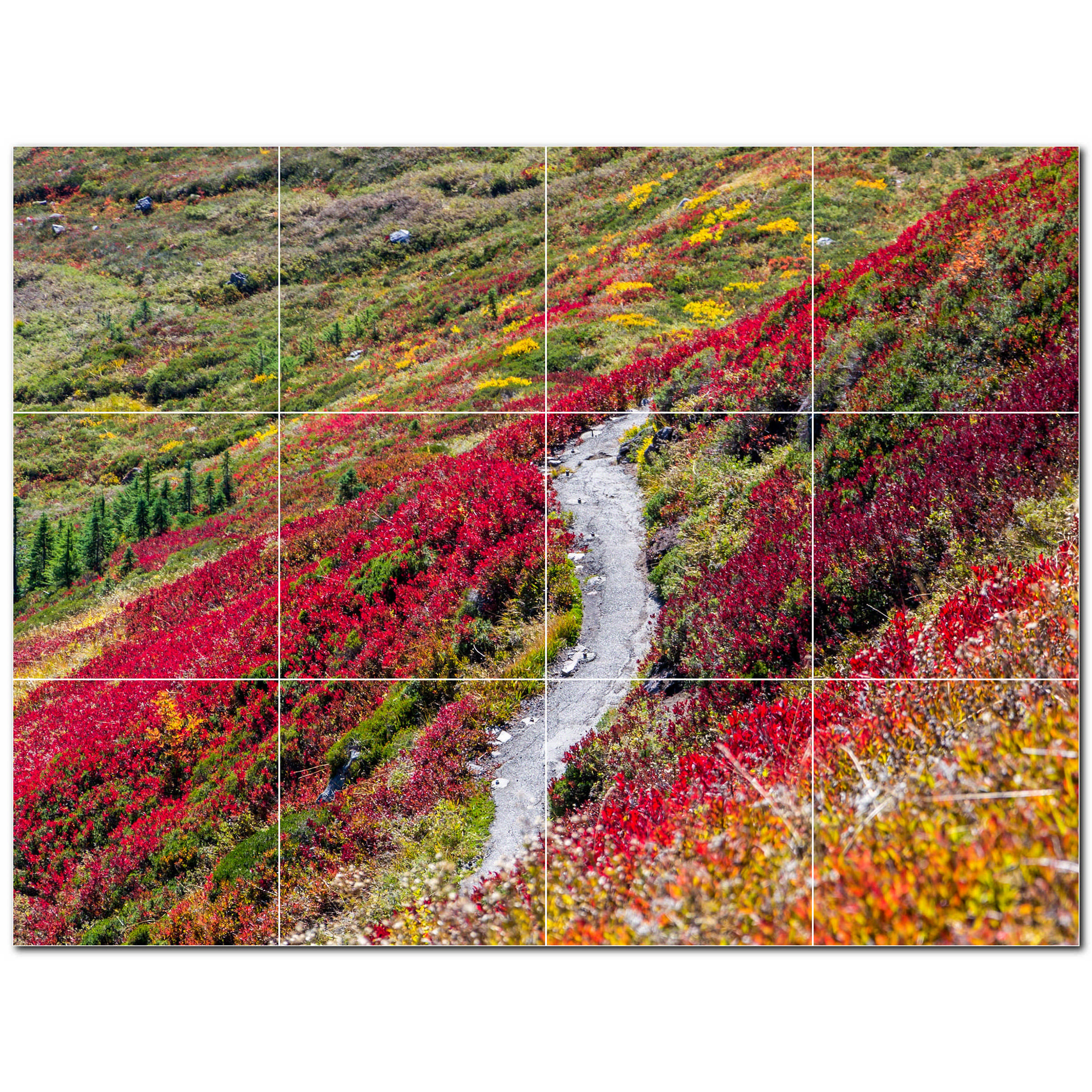 Picture-Tiles.com 48" x 36" Ceramic Autumn Photo Decorative Mural Tile ...