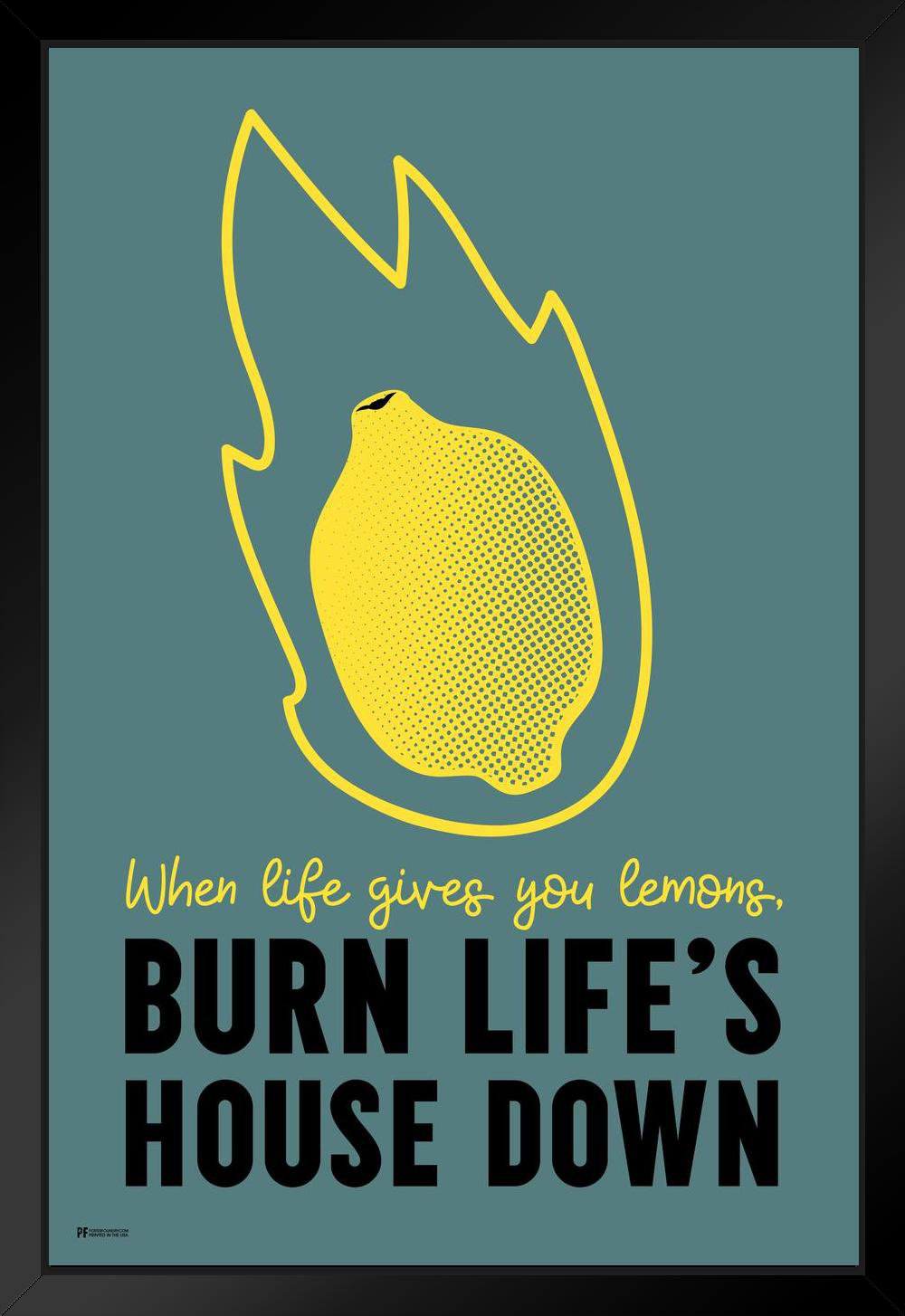 Trinx When Life Gives You Lemons Burn Lifes House Down Video Game Funny ...
