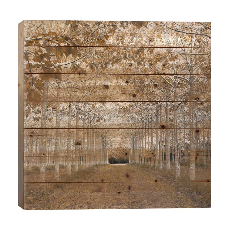 Loon Peak® White Gold On Wood by Assaf Frank Print | Wayfair