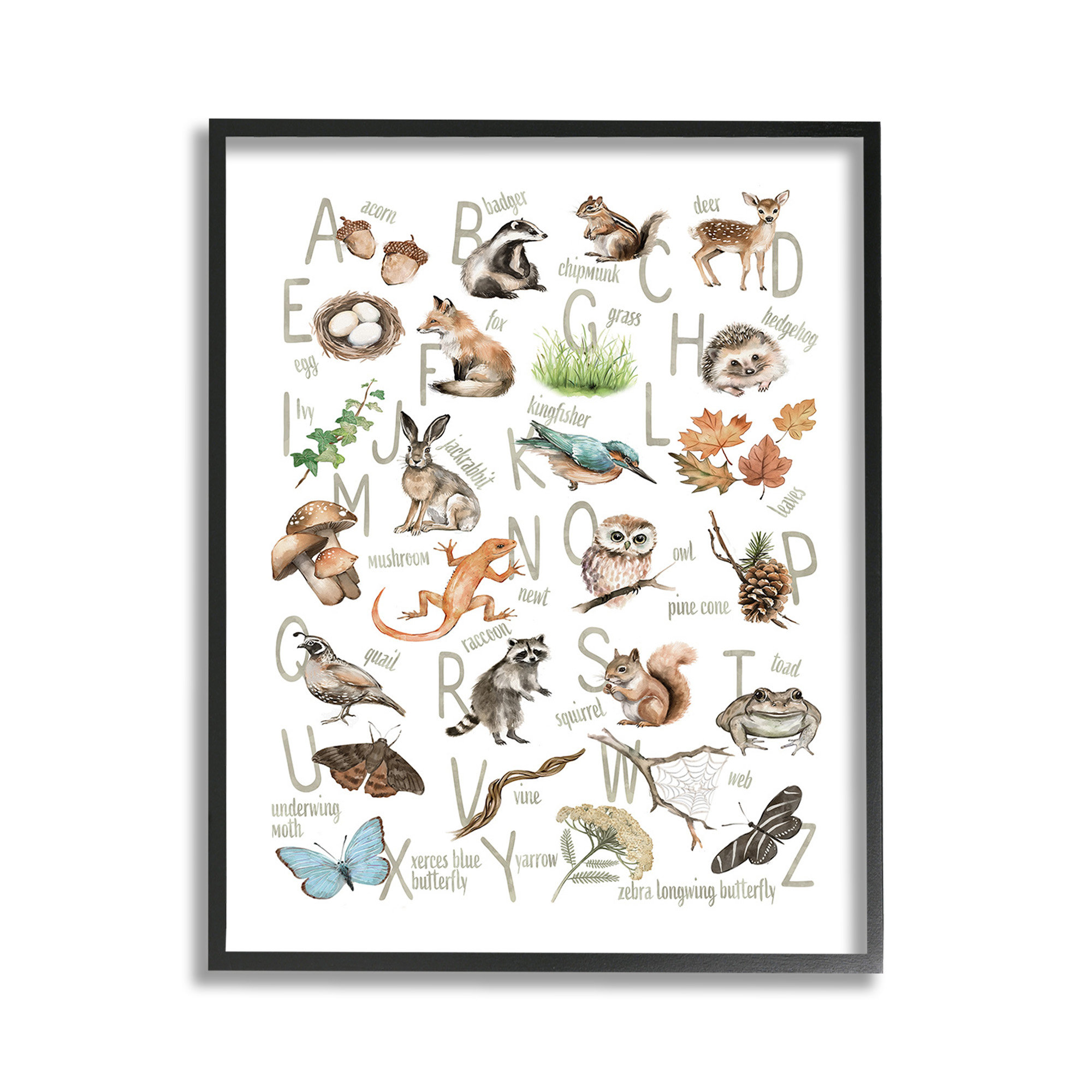 Stupell Industries Woodland Nature Alphabet Framed Giclee Art by Ziwei ...