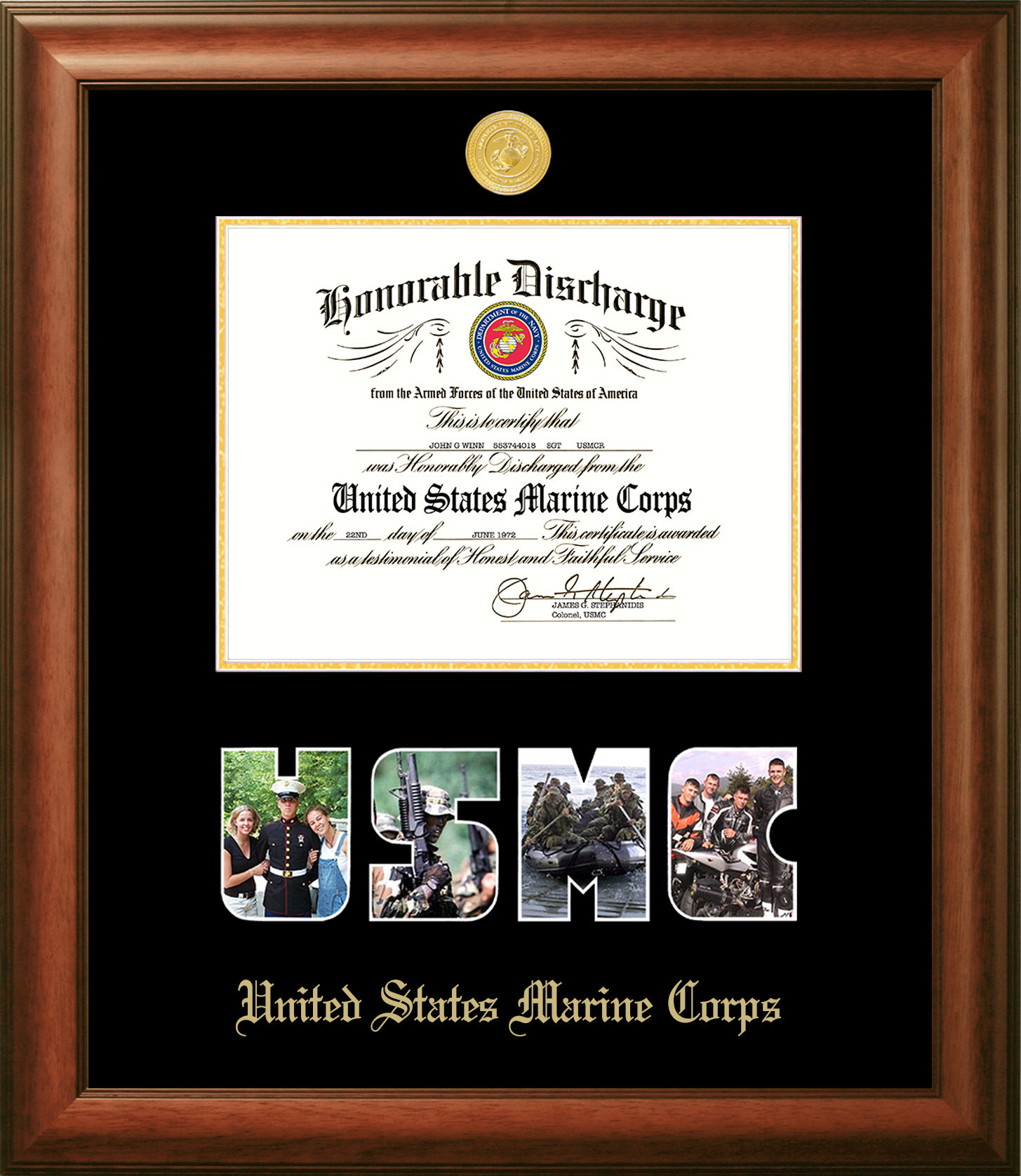 Patriot Frames Marine Discharge Picture Frame | Wayfair