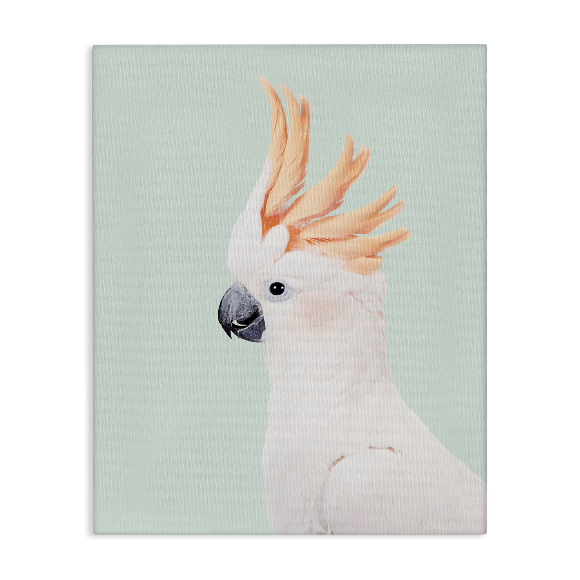 Bayou Breeze White Cockatoo Portrait Canvas Wall Art by Sisi and Seb ...