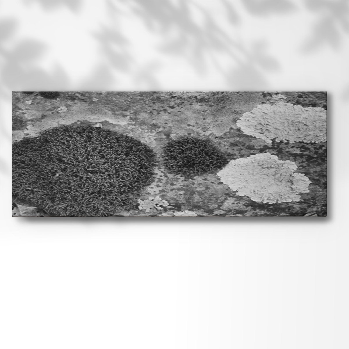 17 Stories Found Textures XIX-Gallery Wrapped Canvas - Wayfair Canada