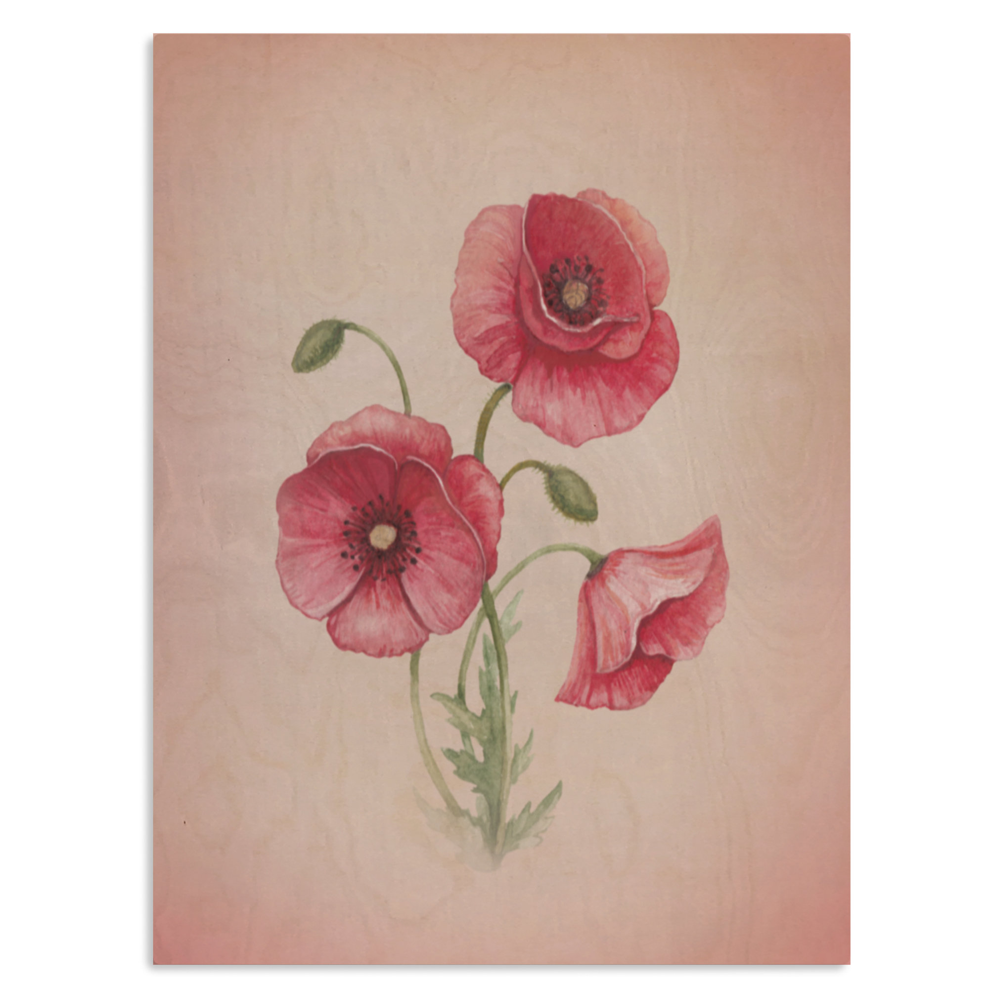 Winston Porter Retro Poppy Flowers - Vintage Wood Wall Art - Natural ...