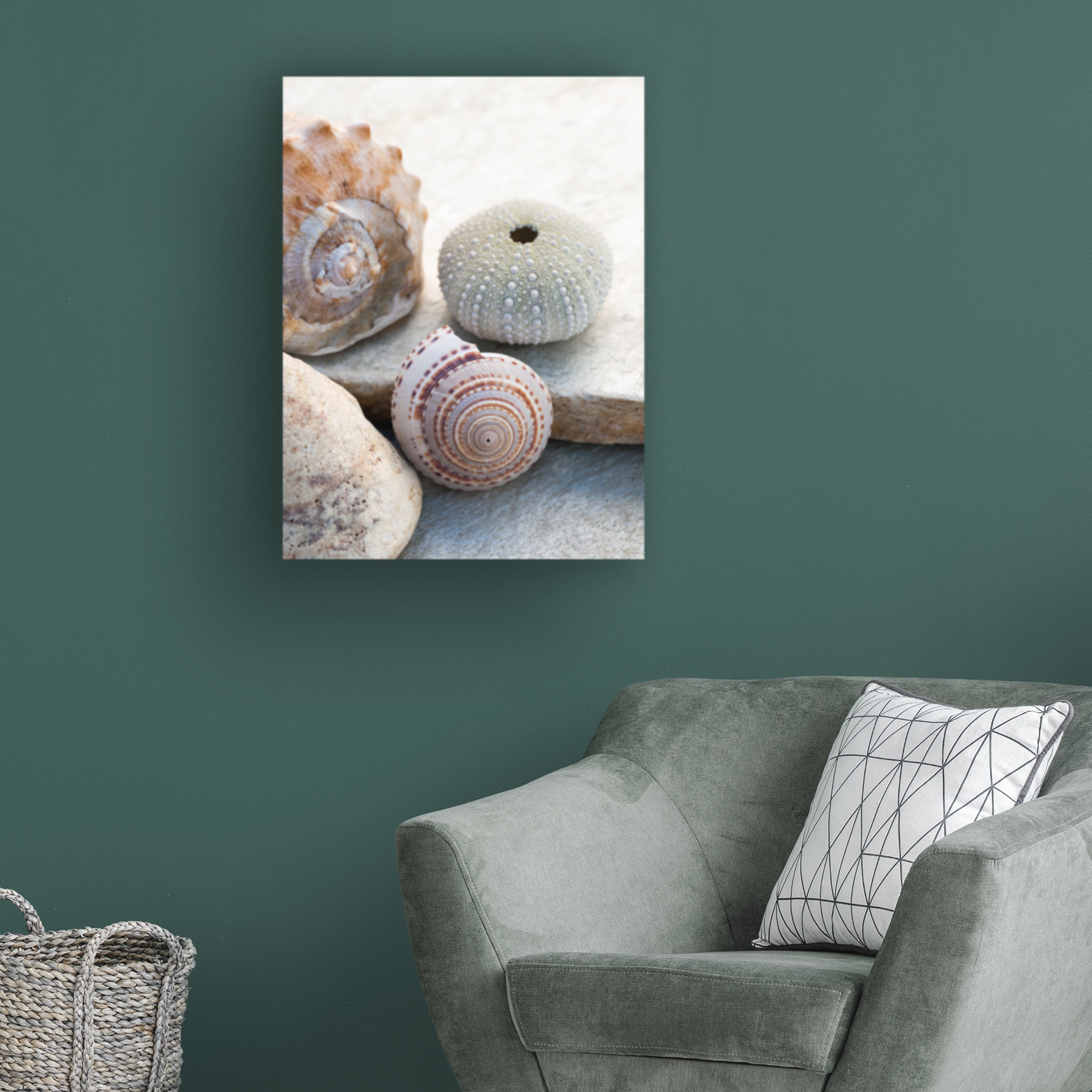 Highland Dunes Shell Portrait VII by Elena Ray - Wrapped Canvas ...