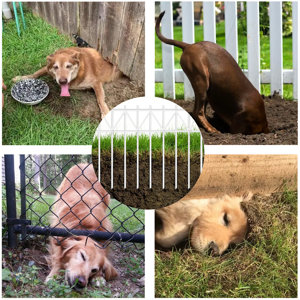 EFPerfect 15'' H x 24'' W Animal Anti-digging Barrier Fence Rustproof ...