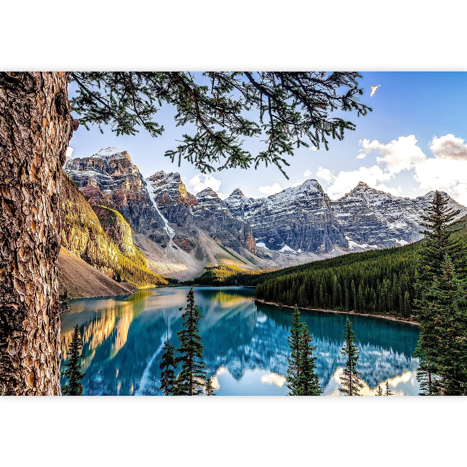 IDEA4WALL Scenic Colorado Mountain Lake Forest Paintable Wall Mural ...