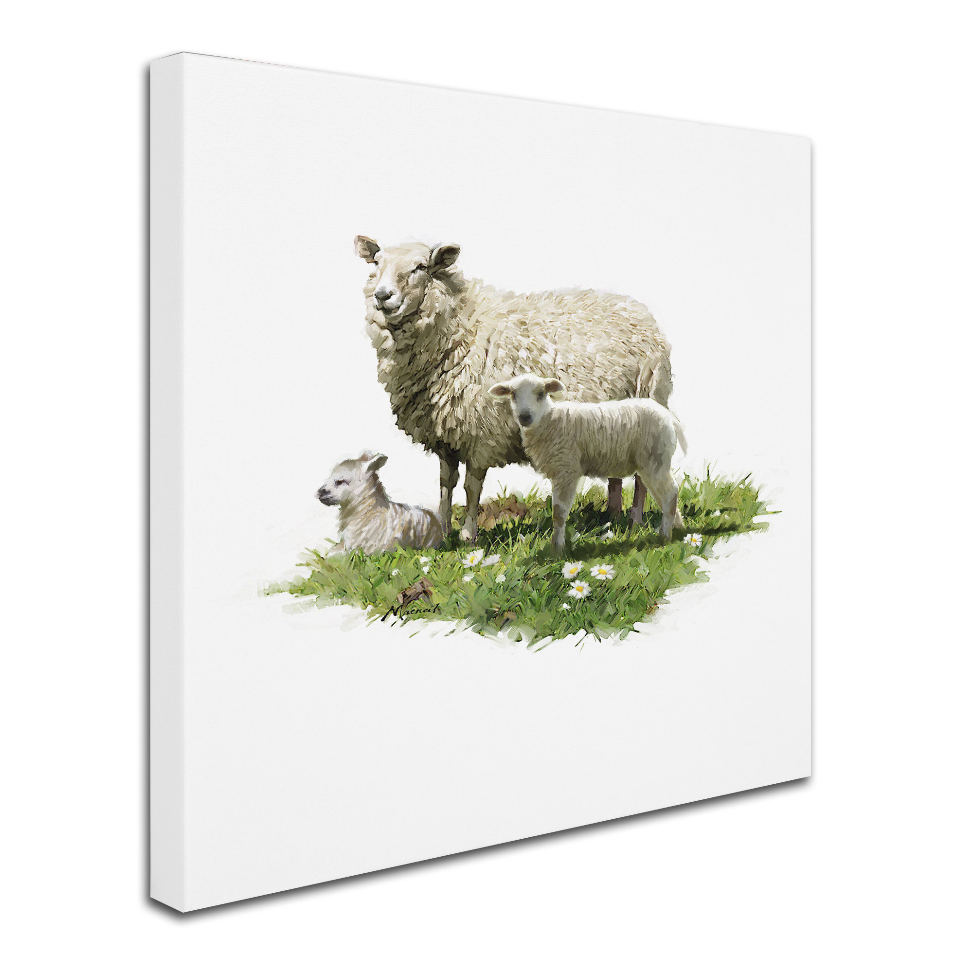 Trademark Fine Art 'Sheep with Lambs' Print on Canvas - Wayfair Canada
