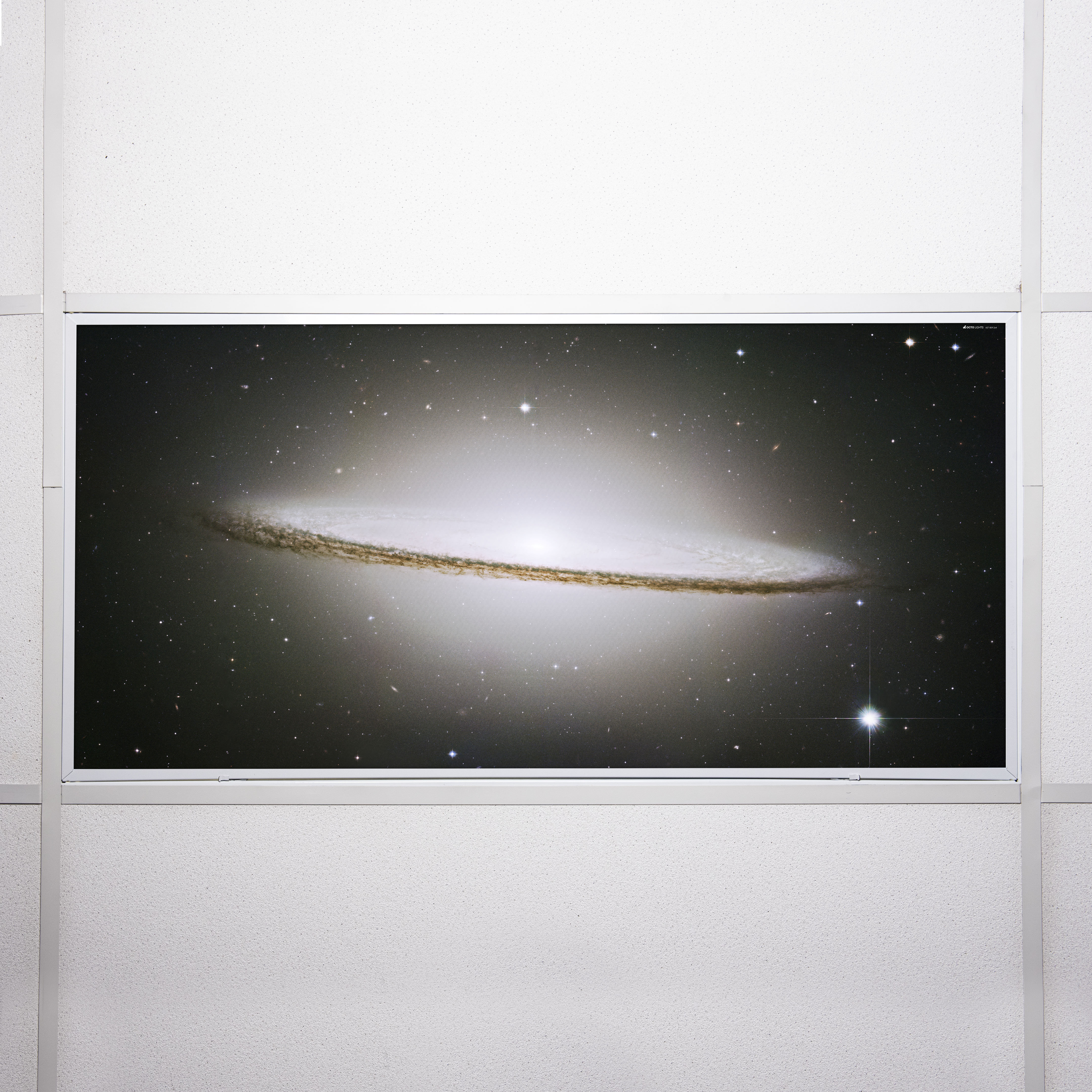 Octo Lights Astronomy Fluorescent Light Covers for Ceiling Lights - For ...
