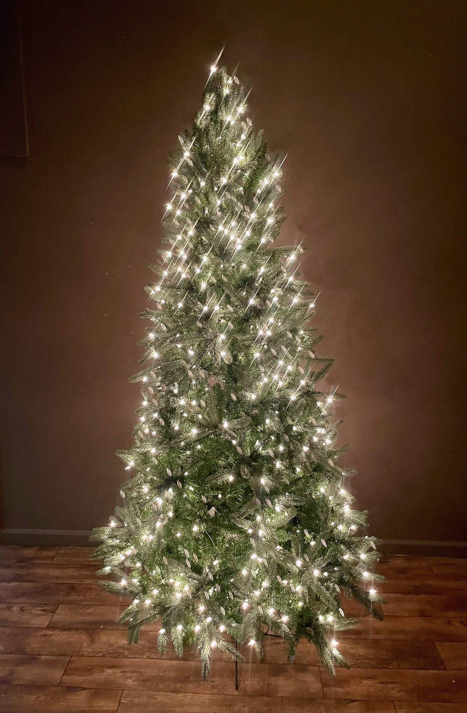 The Holiday Aisle® Jahnavi 90' Lighted Artificial Pine Christmas Tree ...