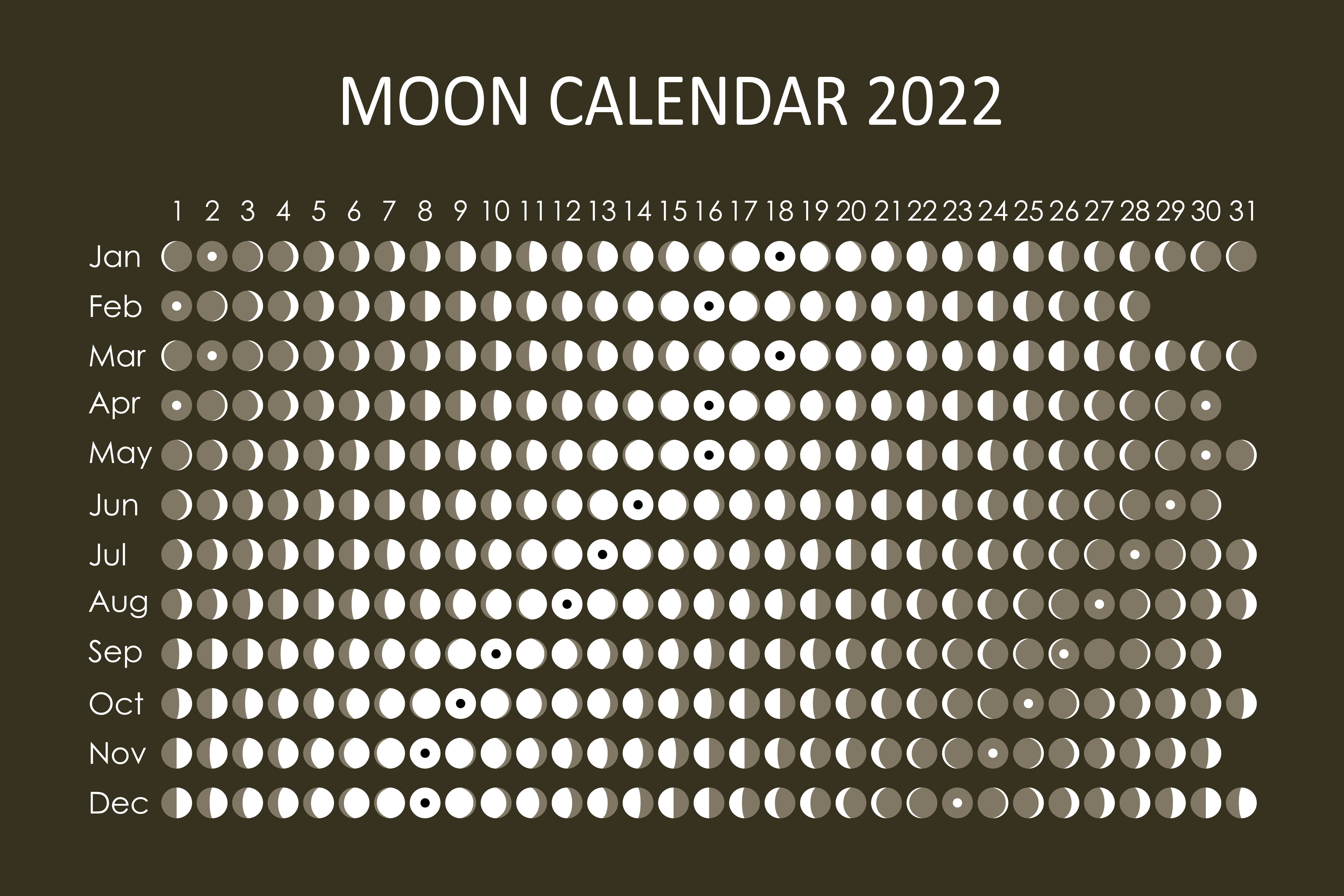 Happy Larry 2022 Moon Calendar | Wayfair.ie