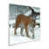 Mirrorstone Siberian Tiger Horizontal Flat Panel Radiator | Wayfair.co.uk