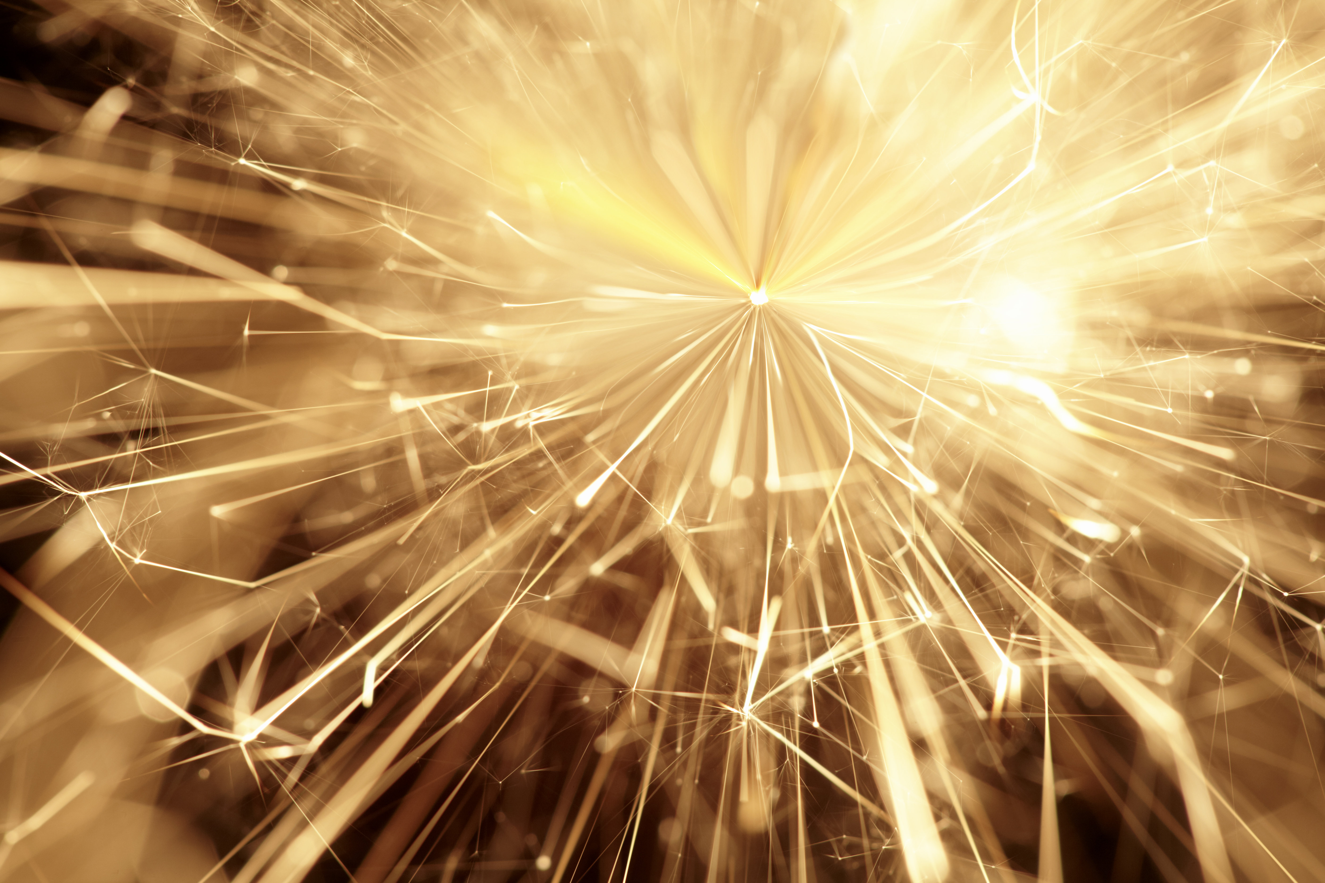 Ebern Designs Sparks Background | Wayfair.ie