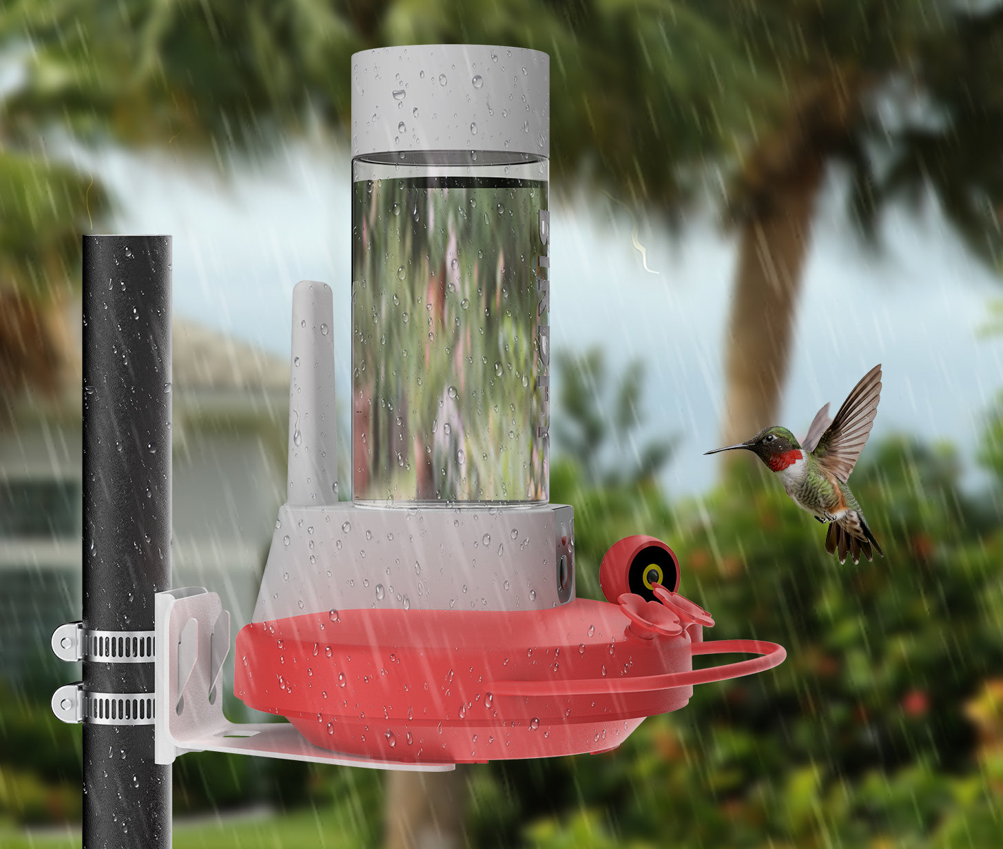 Birdfy NETVUE Birdfy Hummingbird Feeder with 2 Cameras Solar Powered ...