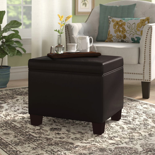Storage Ottomans You'll Love - Wayfair Canada