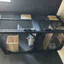 Tucker Murphy Pet™ Geniah Portable Cat Cage & Reviews | Wayfair