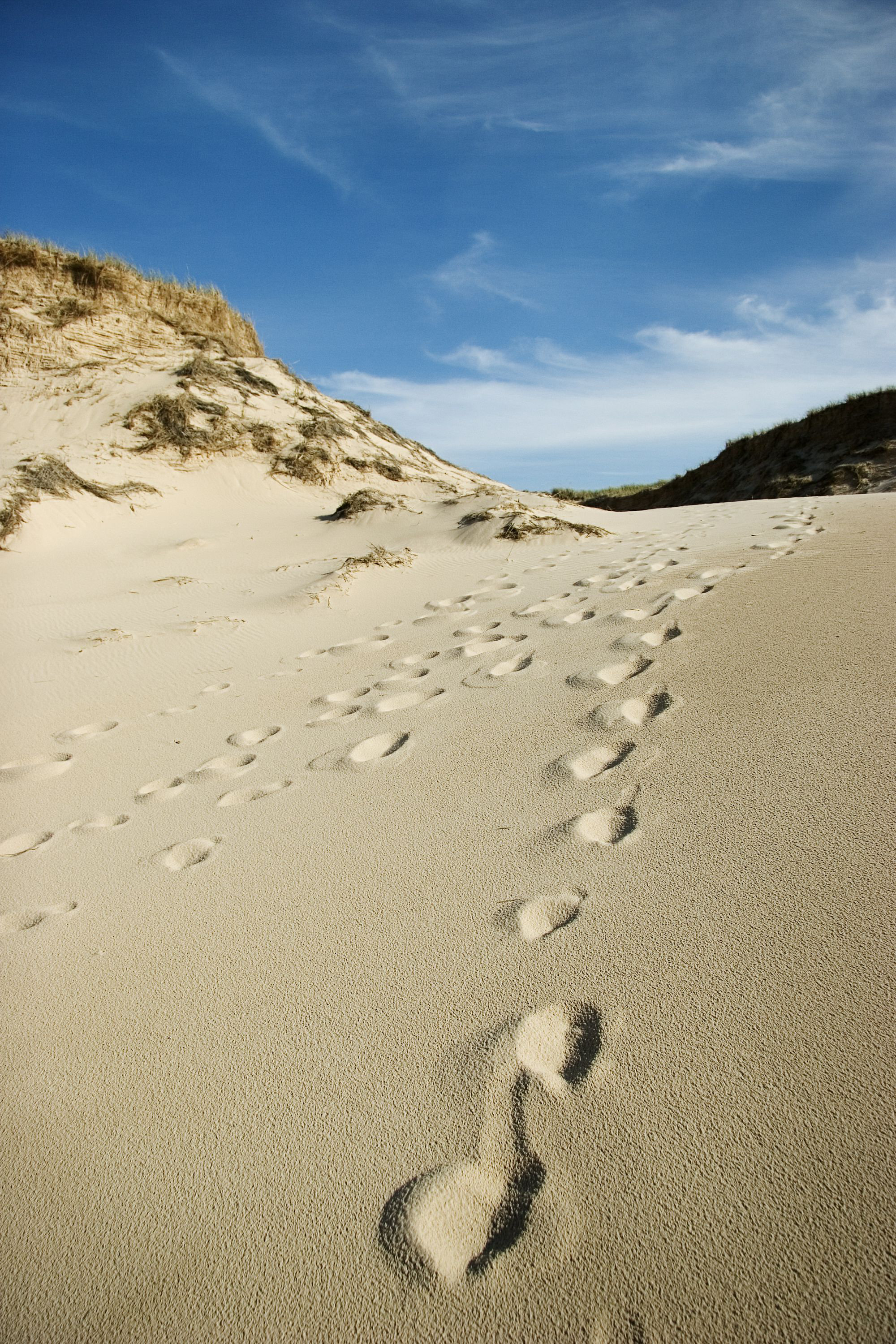 Highland Dunes Tampere Footprints In The Sand by Martsss - Wrapped ...