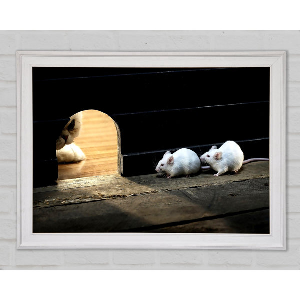 Brayden Studio Cat And Mice - Single Picture Frame Art Prints | Wayfair ...
